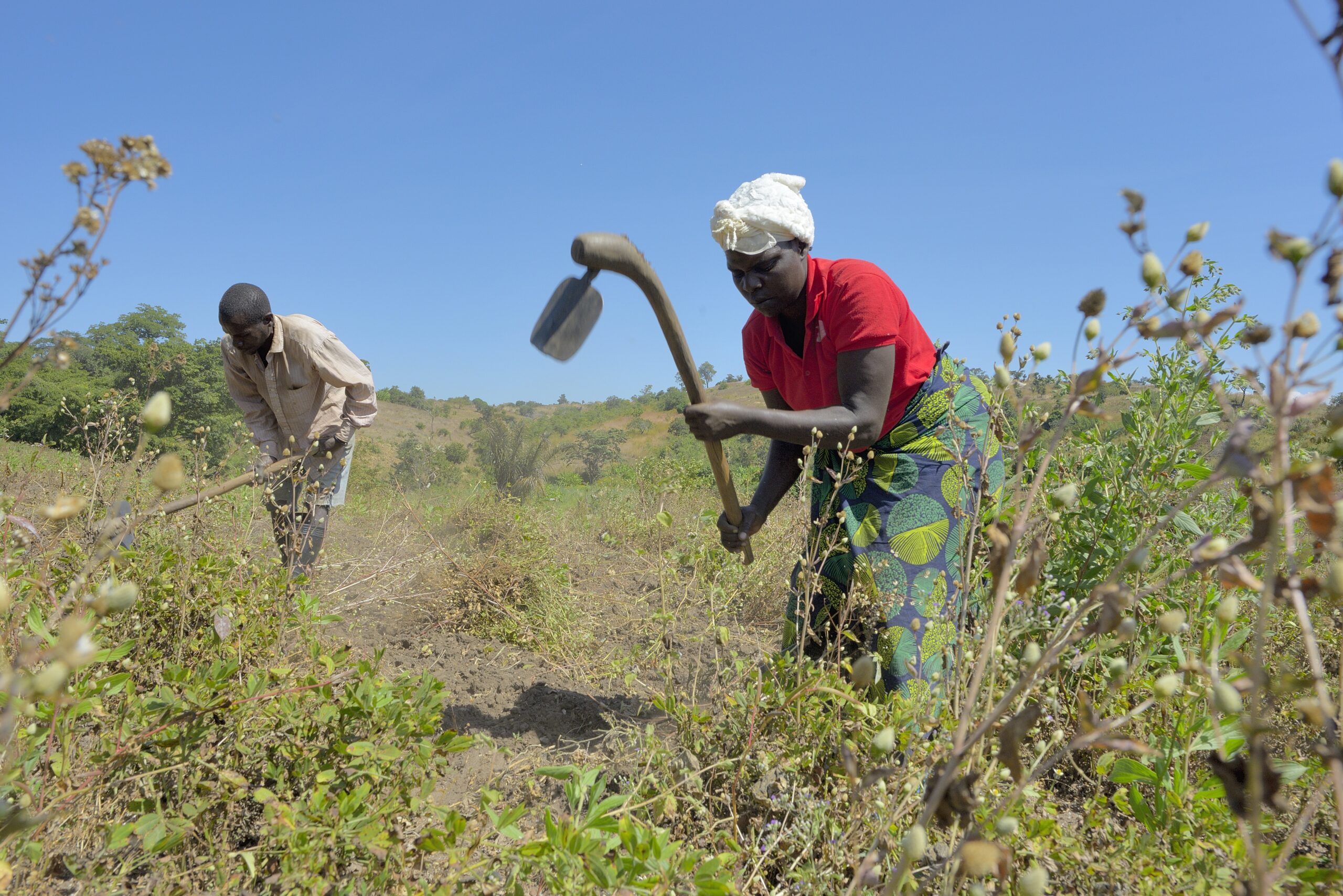 Designing Credit for Farmers - MicroLoan Foundation
